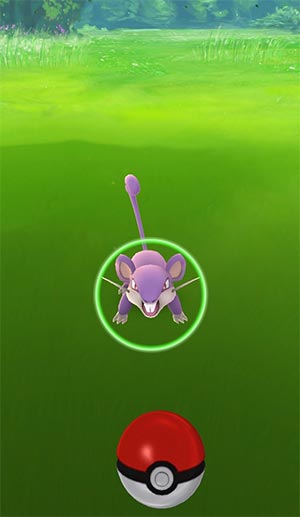 Circle color meaning pokemon go Pokemon Go World Circle color meaning pokemon go Pokemon Go World